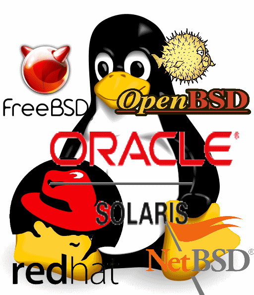 Importante vulnerabilidad en sistemas Linux y *NIX - Una Al Día